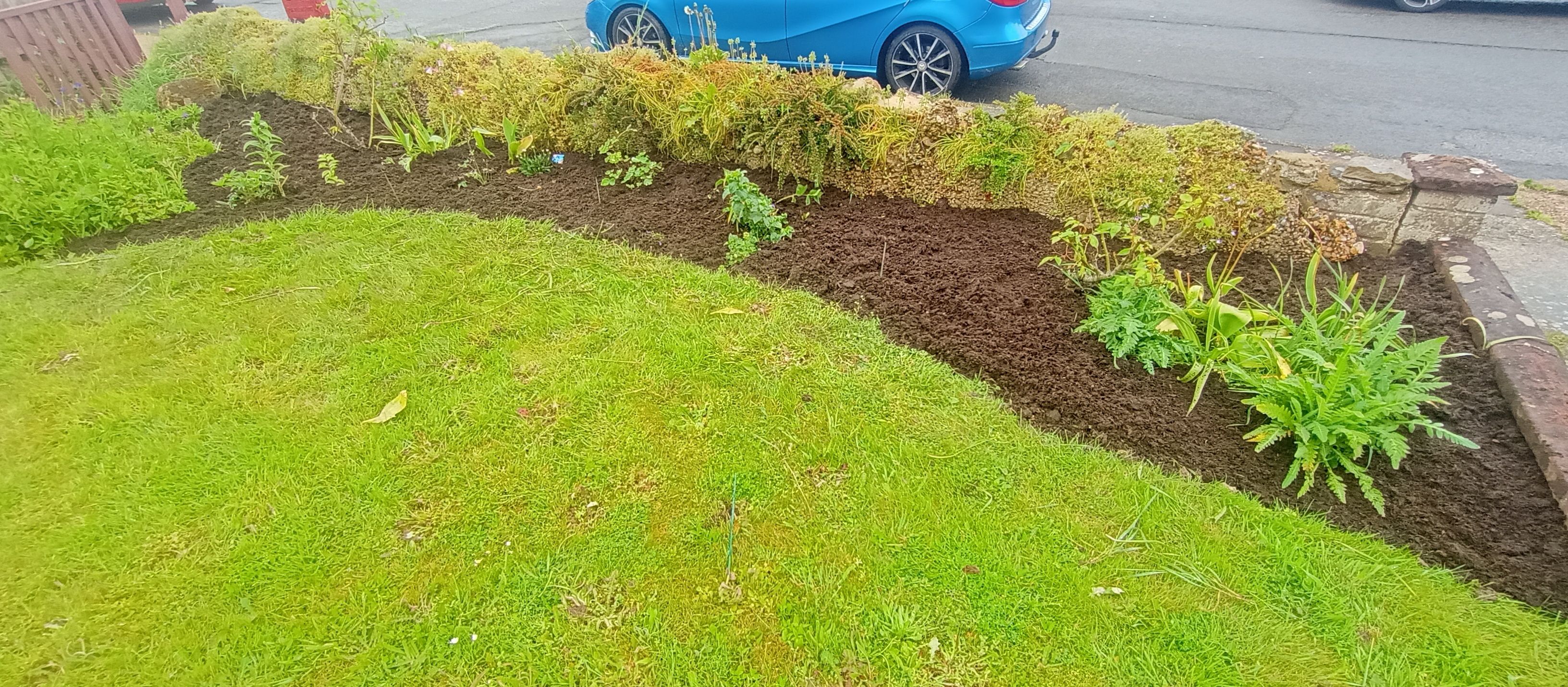 Very weedy heavy beds – www.madgardencare.com