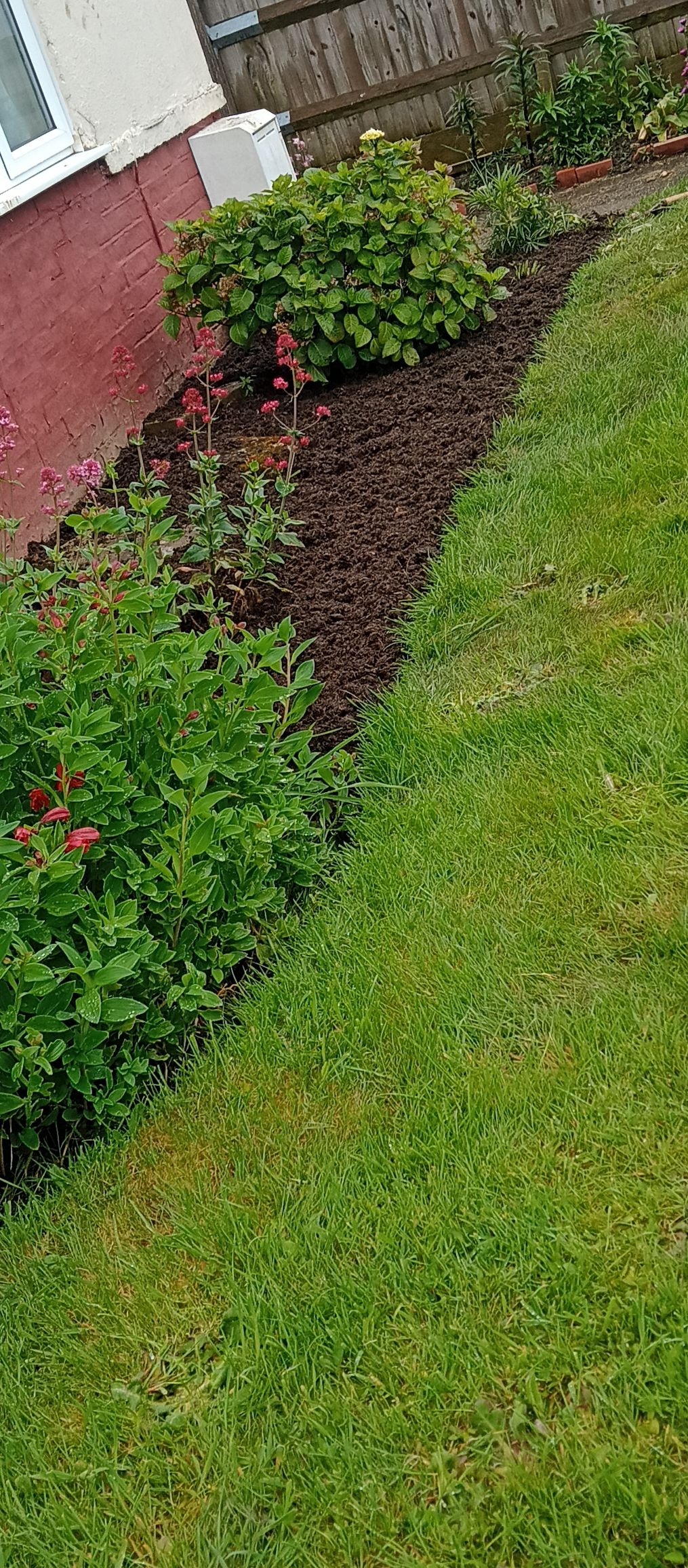 Very weedy heavy beds – www.madgardencare.com